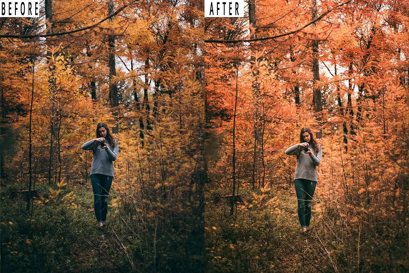 Forest Tone Photoshop Action & Lightrom Presets Free Download