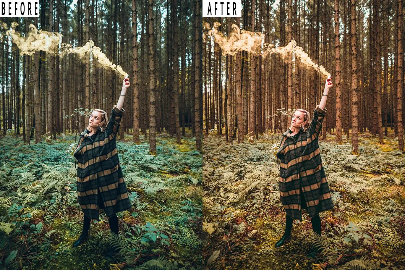 Forest Tone Photoshop Action & Lightrom Presets Free Download