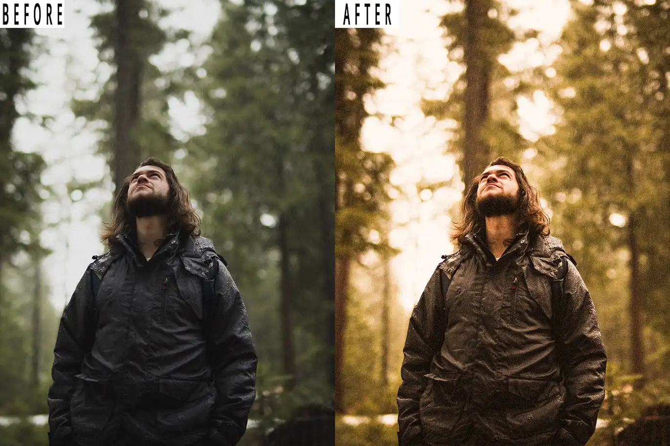 Forest Tone Photoshop Action & Lightrom Presets Free Download