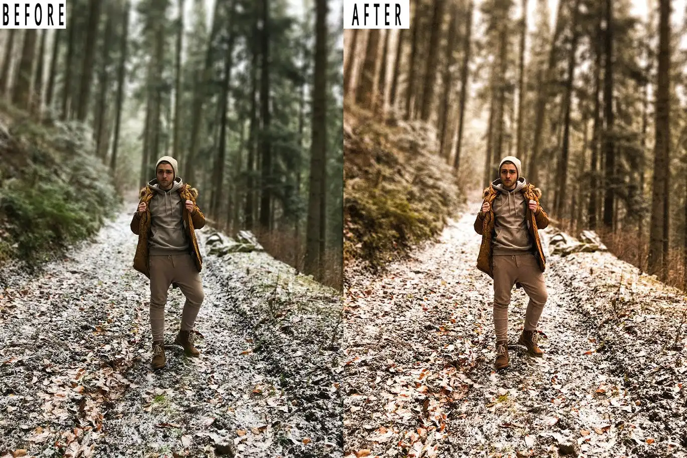Forest Tone Photoshop Action & Lightrom Presets Free Download