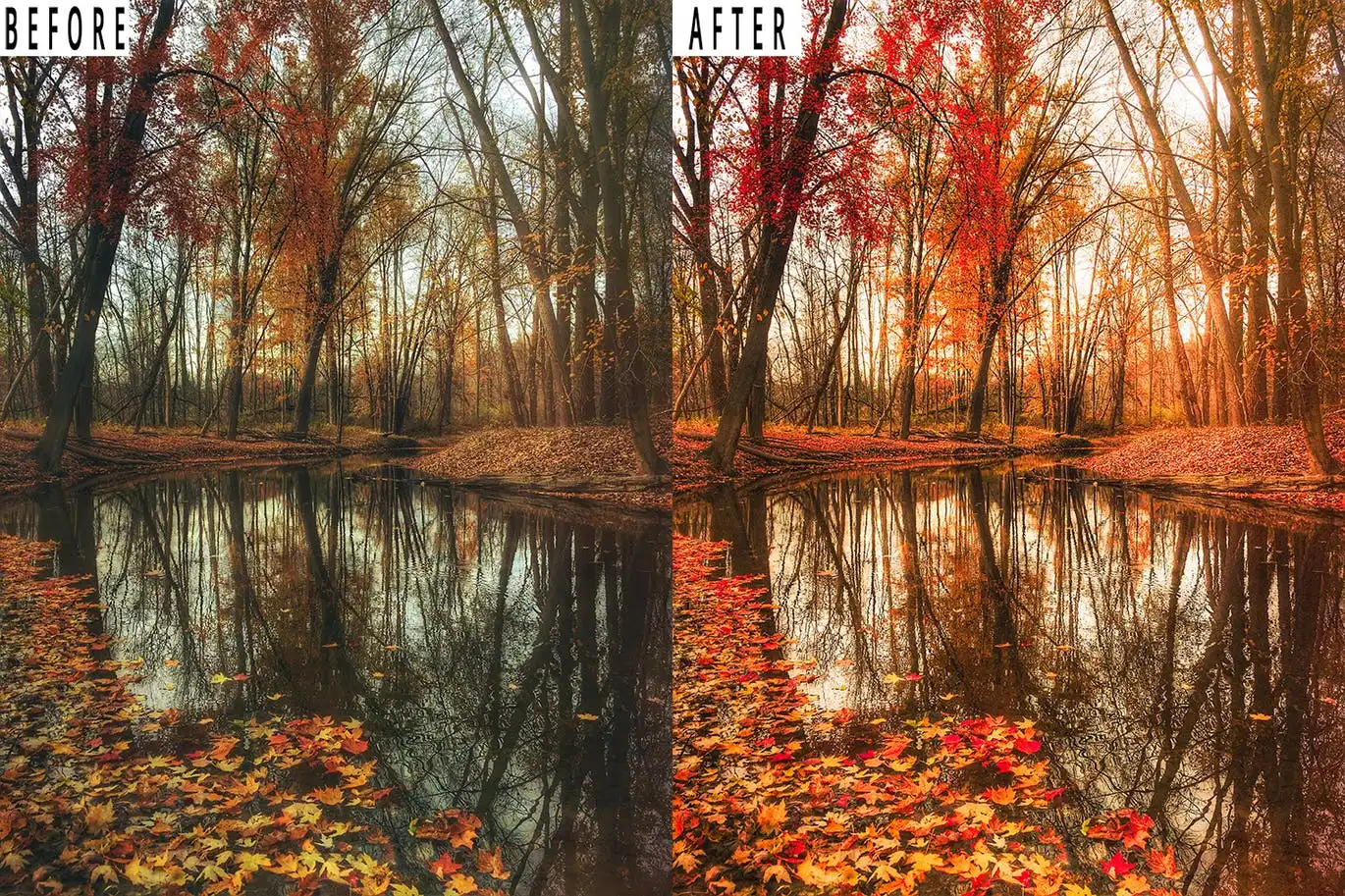 Landscape Tone Photoshop Action & Lightrom Presets Free Download