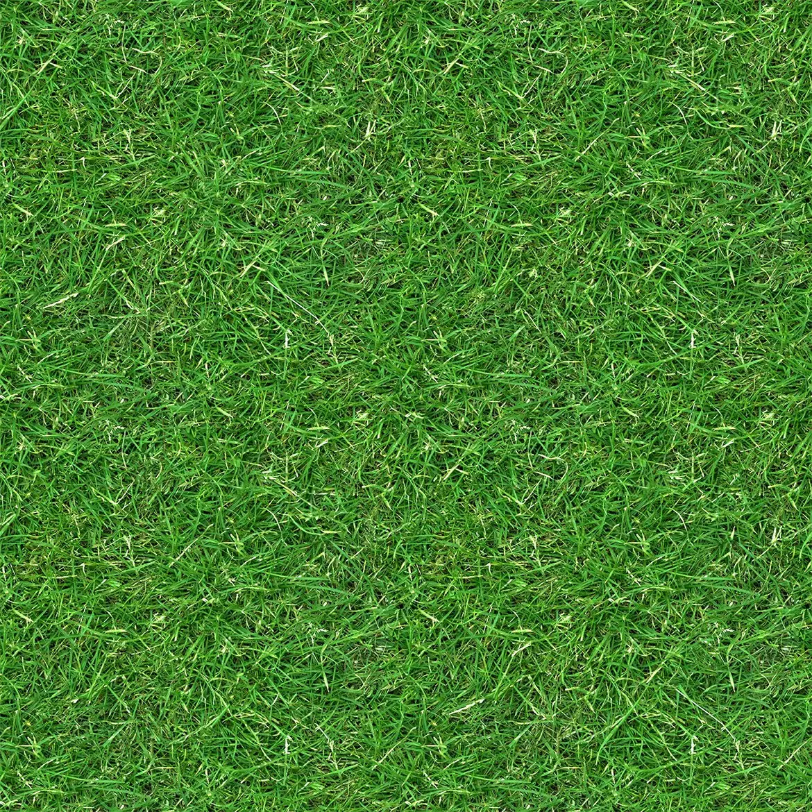 15 Grass Textures - High-Quality Digital Design Assets