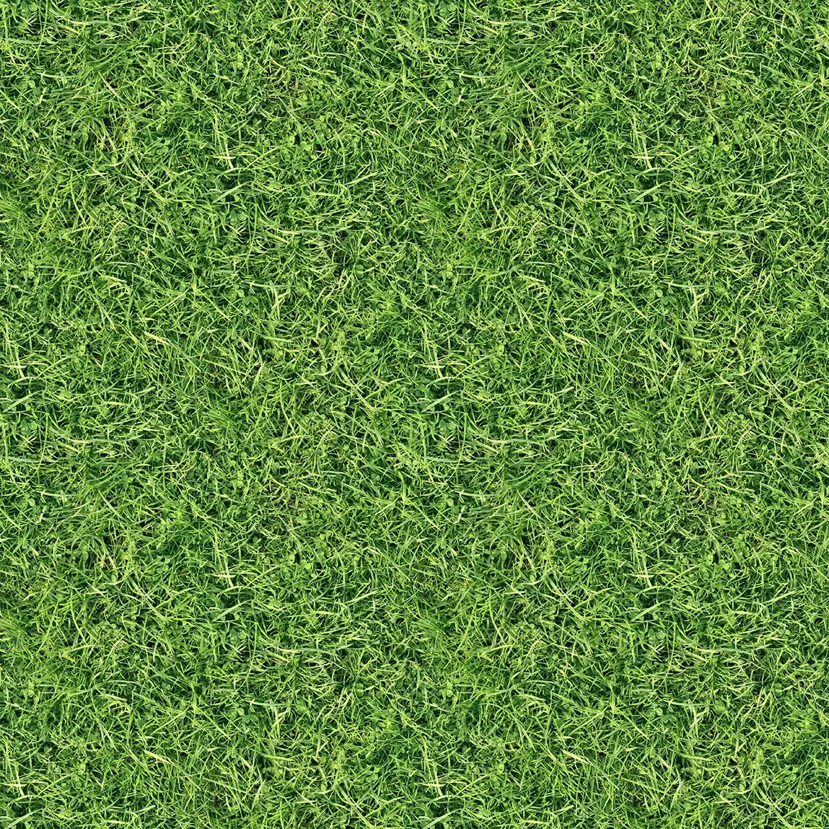 15 Grass Textures - High-Quality Digital Design Assets