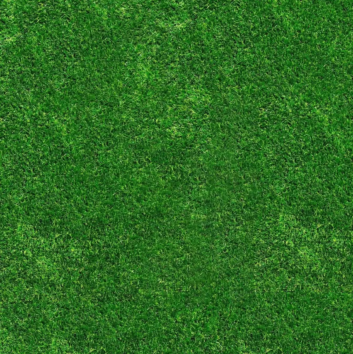 15 Organic Grass Texture Pack - High-Resolution Textures