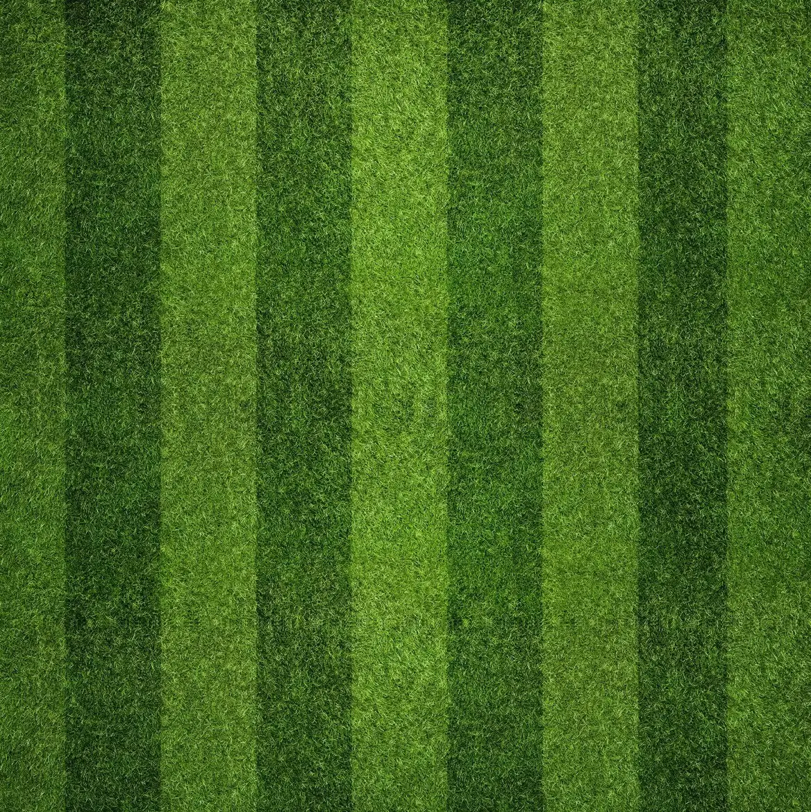 15 Organic Grass Texture Pack - High-Resolution Textures