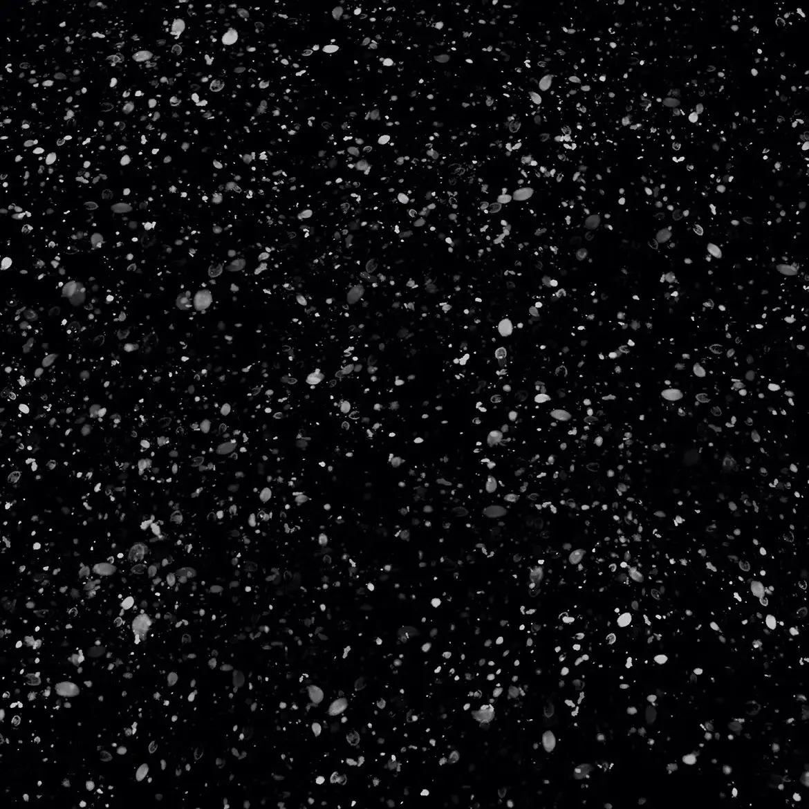 30 Snow Particles Background & Overlays