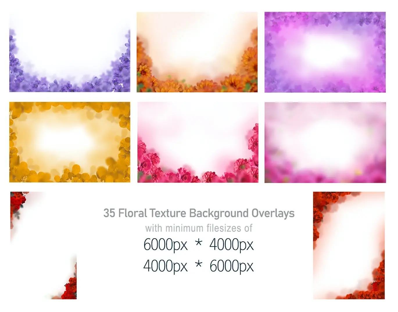 35 Floral Texture Background Overlays
