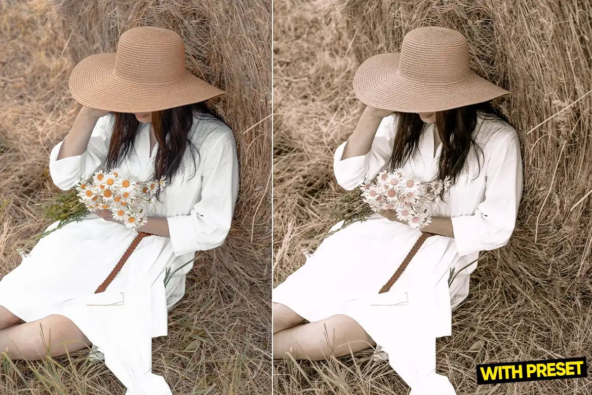 Arta-Mode Presets for Lightroom