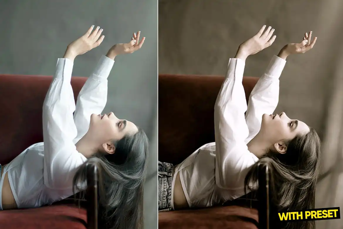 Arta-Mode Presets for Lightroom