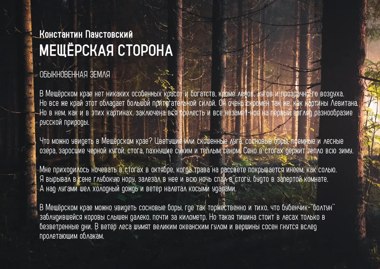 Bartina By Dimitri Antonov - Digital Design Asset