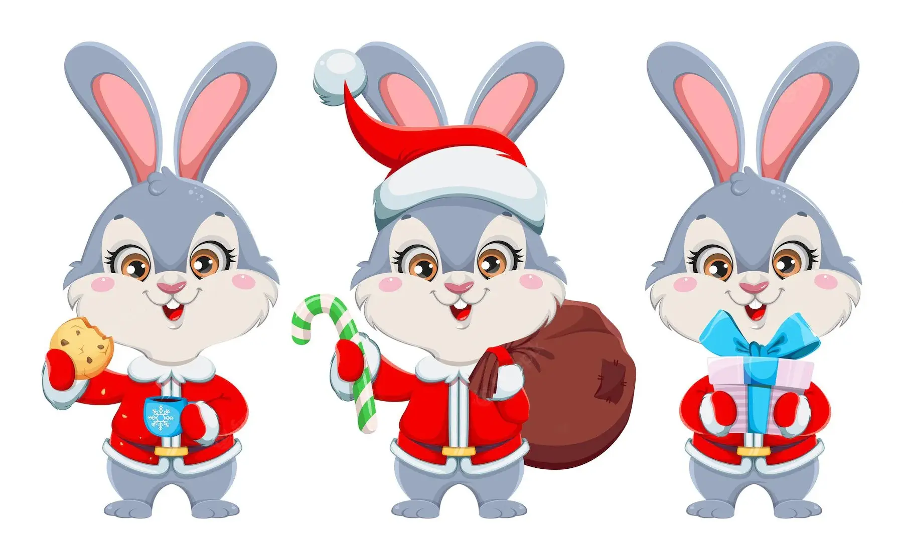 Cartoon Character Rabbit - Digital Design Asset